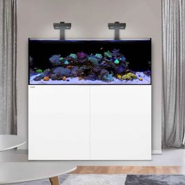 Aquariums Waterbox en vente chez Poisson d'Or - Aquariofil.com et ...