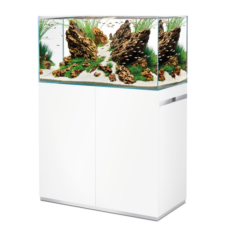 Oase aquarium Set ScaperLine 90 - Aquariofil.com et Poisson d'Or