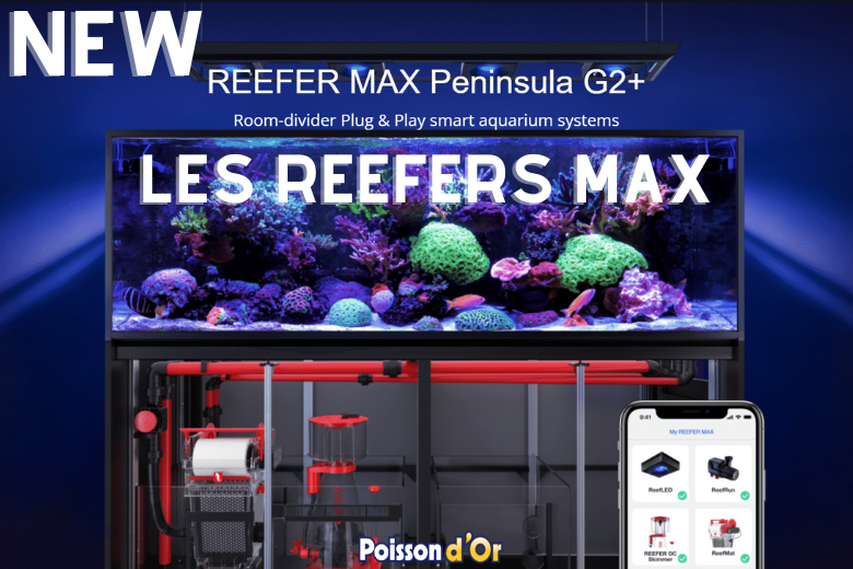 Vente en ligne aquariophilie - Aquariofil & Poisson d'Or - Aquariofil ...