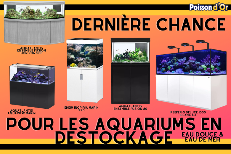 Vente en ligne aquariophilie - Aquariofil & Poisson d'Or - Aquariofil ...