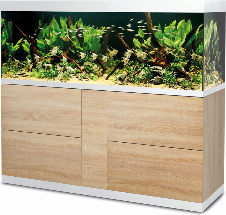 Aquarium - Aquariofil.com et Poisson d'Or