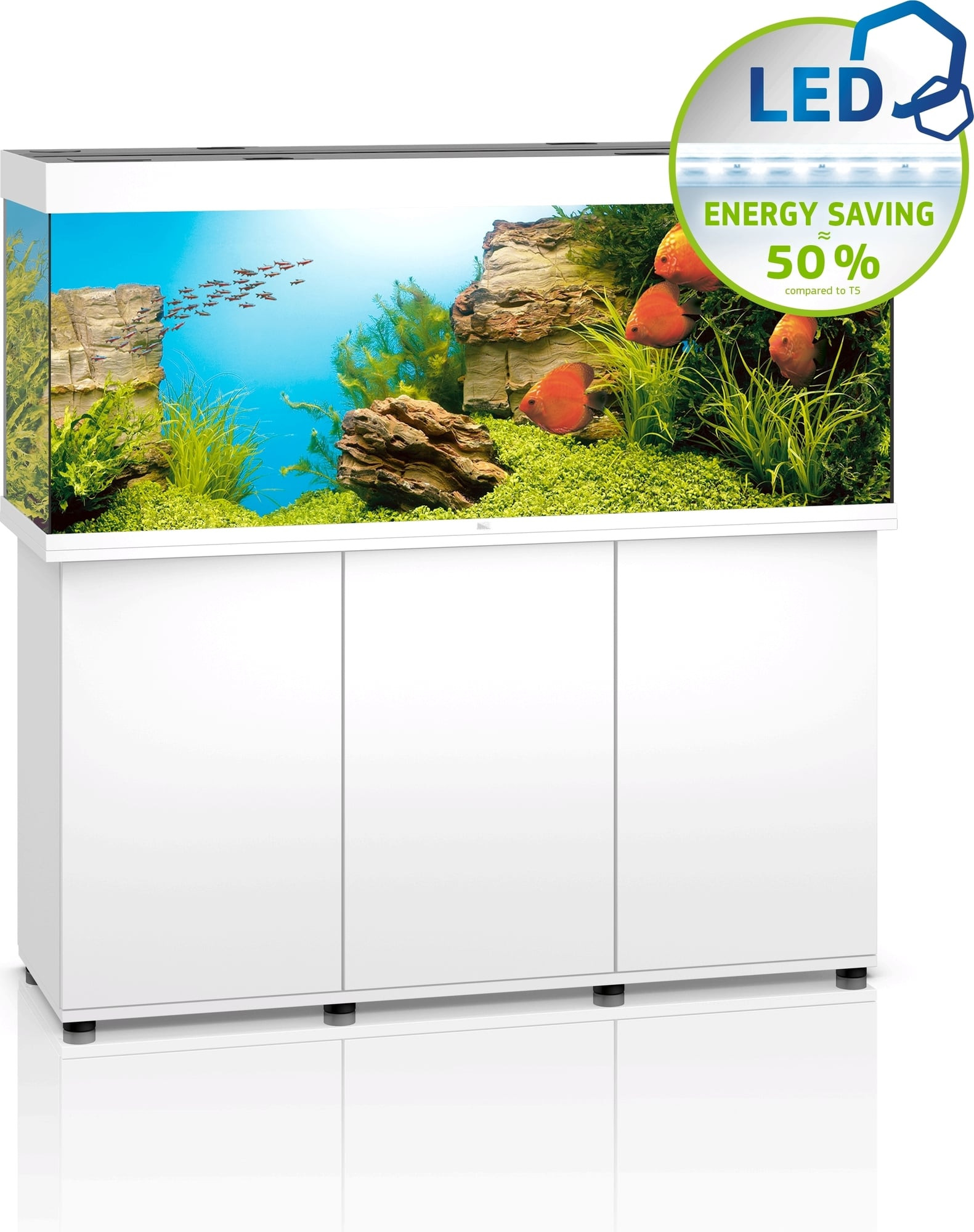 Aquarium - Aquariofil.com et Poisson d'Or