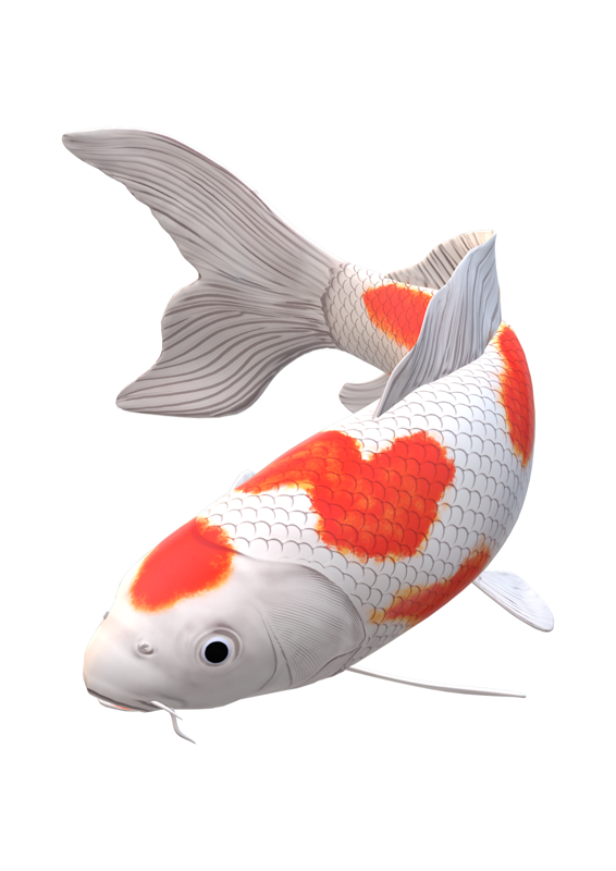 Catalogue par marque - Aquariofil.com et Poisson d'Or