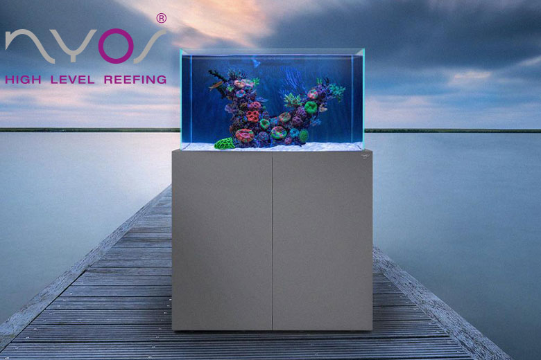 Vente en ligne aquariophilie - Aquariofil & Poisson d'Or - Aquariofil ...