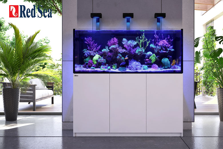Vente en ligne aquariophilie - Aquariofil & Poisson d'Or - Aquariofil ...