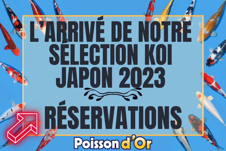 Vente en ligne aquariophilie - Aquariofil & Poisson d'Or - Aquariofil ...