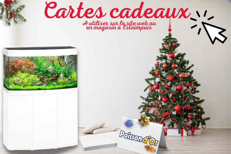 Vente en ligne aquariophilie - Aquariofil & Poisson d'Or - Aquariofil ...